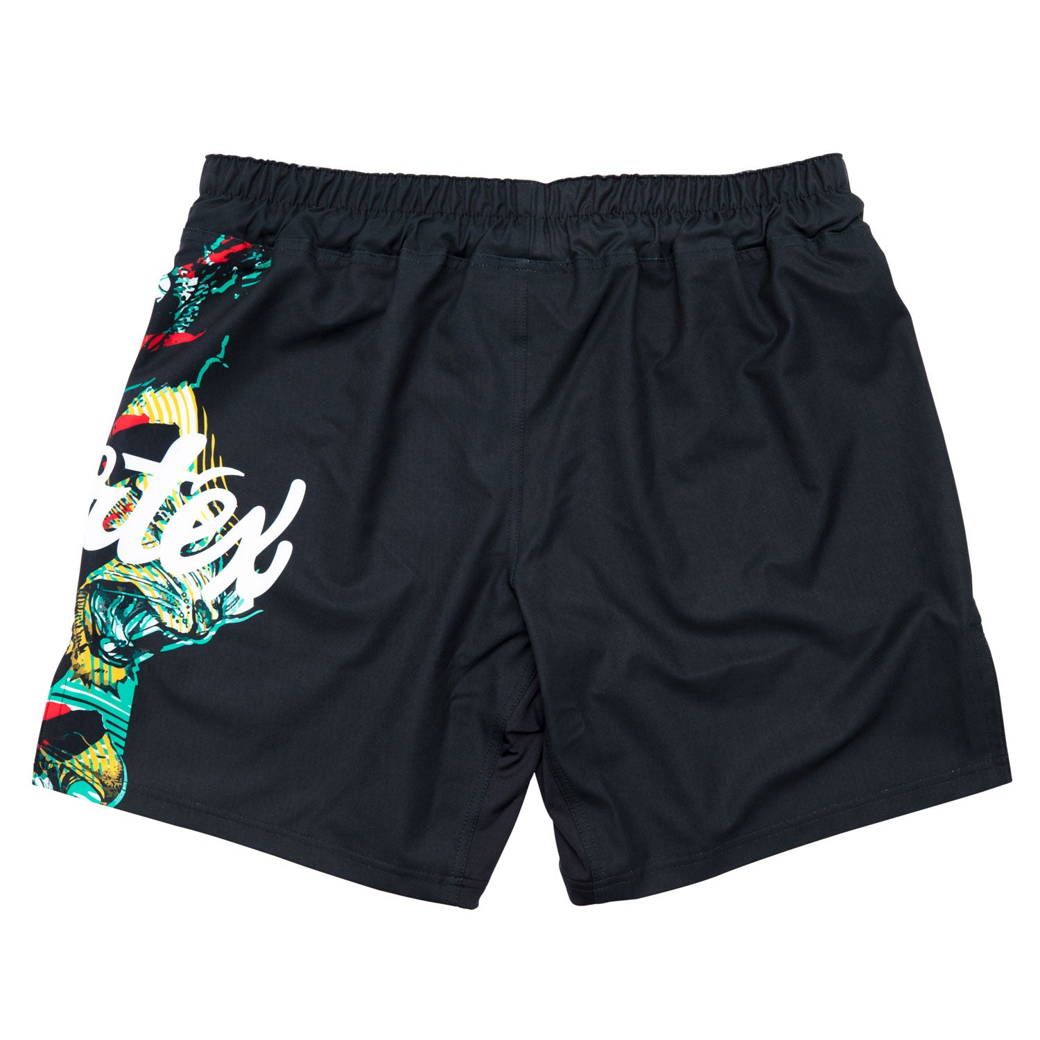 Premium Fight Shorts: Muay Thai & MMA | Fairtex, Twins, Primo, Yuth ...